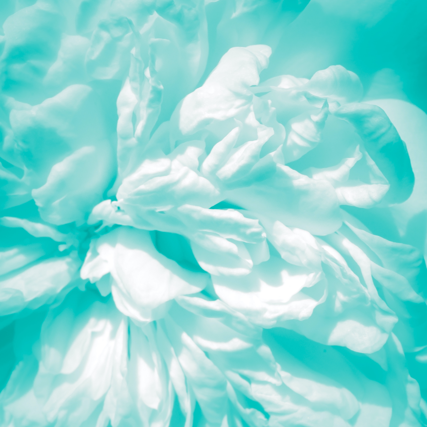 Service Pricing for Med Spa | Affordable Beauty, Book Today!